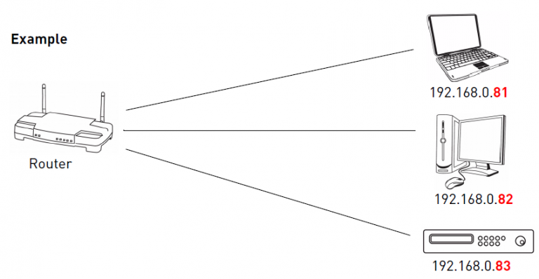 IP Address and Different Parts of URL or Web Address -HSC