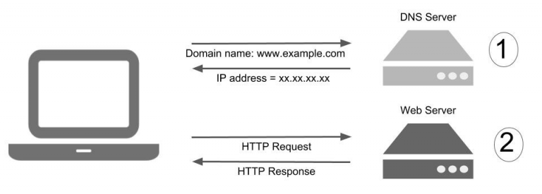 IP Address and Different Parts of URL or Web Address -HSC