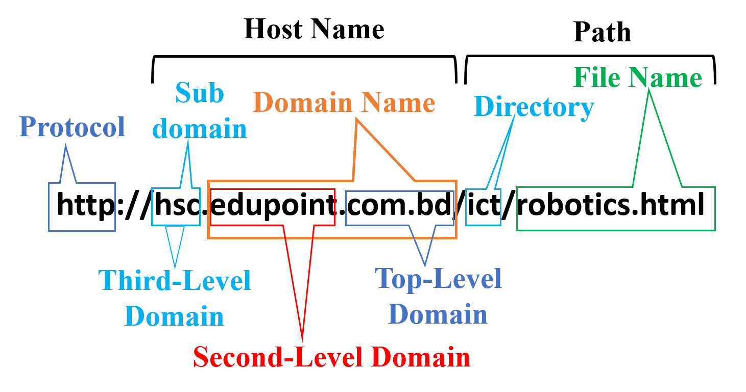 IP Address And Different Parts Of URL Or Web Address HSC