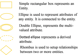 Sixth Chapter Lesson-7: Database Model and Different key fields.
